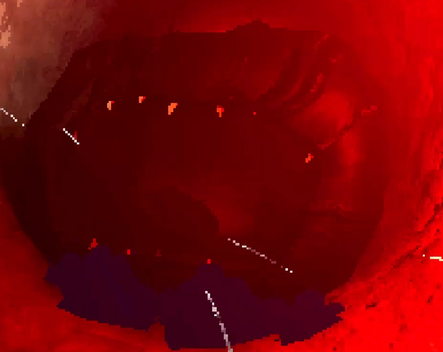 The Mother Slug | The Upturned Wiki | Fandom