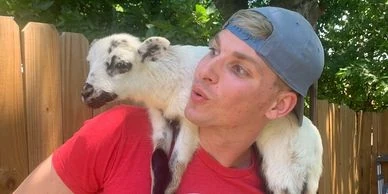 Water Sheep | The Urban Rescue Ranch Wiki | Fandom