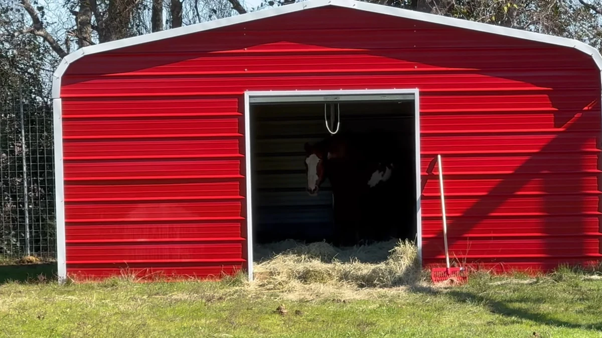 Arthur Morgan/Gallery | The Urban Rescue Ranch Wiki | Fandom