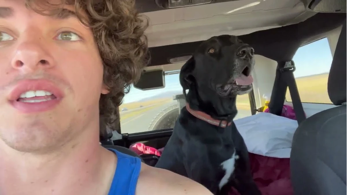 Category:Episodes | The Urban Rescue Ranch Wiki | Fandom