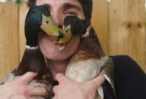 Garry and Sailor | The Urban Rescue Ranch Wiki | Fandom