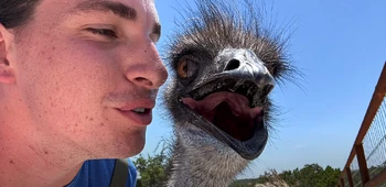 Stompy | The Urban Rescue Ranch Wiki | Fandom