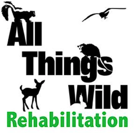 All Things Wild | The Urban Rescue Ranch Wiki | Fandom