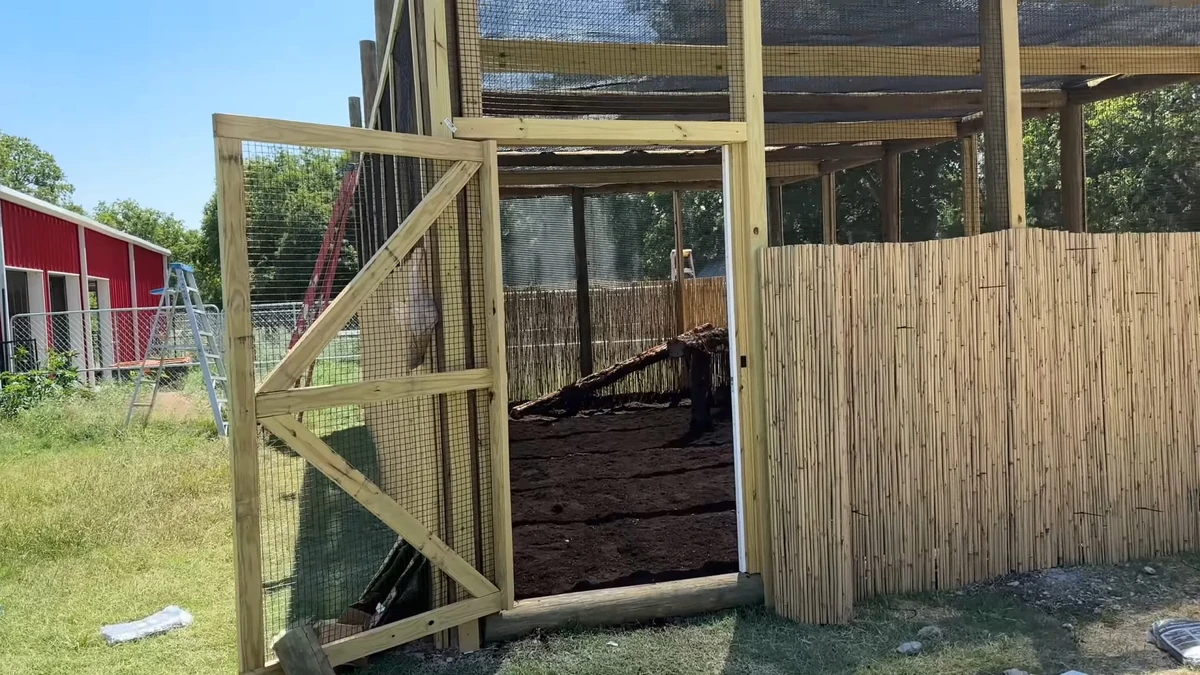 The Megadome | The Urban Rescue Ranch Wiki | Fandom