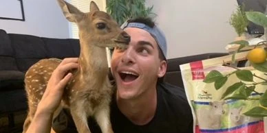 Bambino | The Urban Rescue Ranch Wiki | Fandom