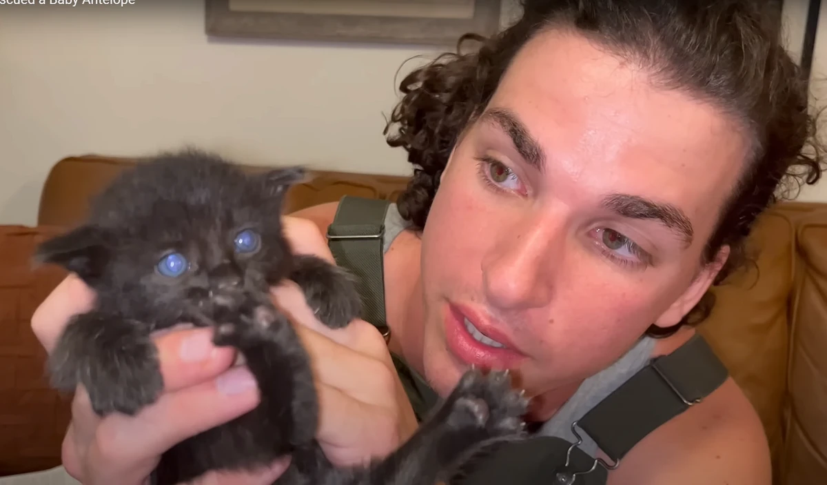 Nitro | The Urban Rescue Ranch Wiki | Fandom