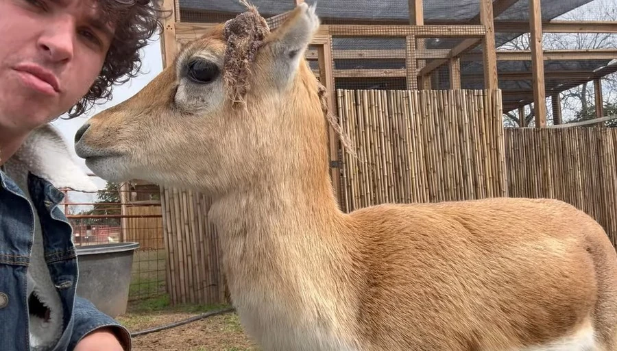 Patrick's Brother | The Urban Rescue Ranch Wiki | Fandom