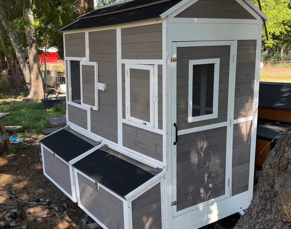 Pigeon Lofts | The Urban Rescue Ranch Wiki | Fandom