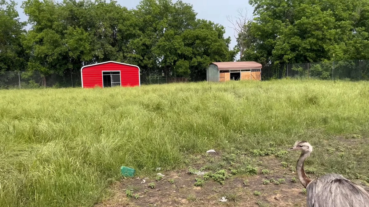 The Way Back | The Urban Rescue Ranch Wiki | Fandom