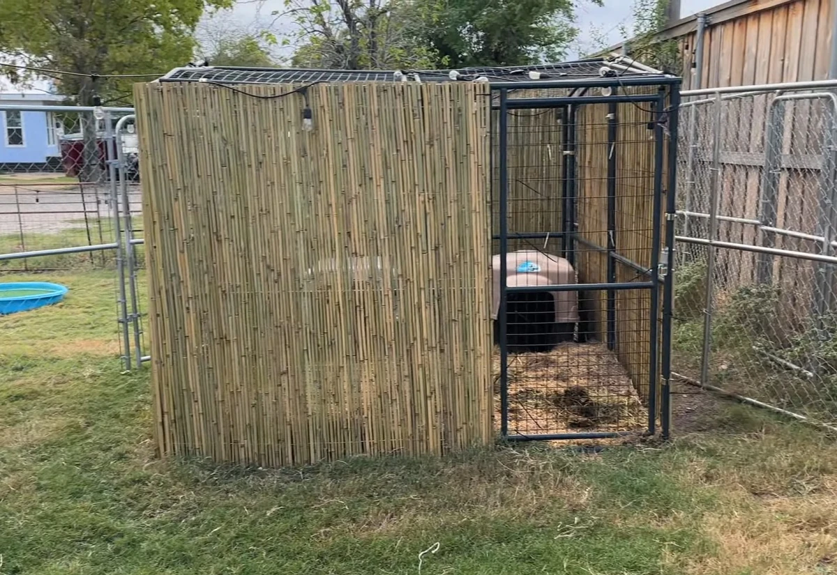 Quarantine Ward | The Urban Rescue Ranch Wiki | Fandom