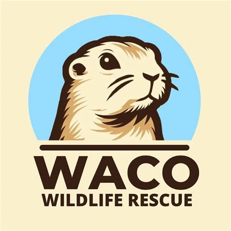 Waco Wildlife Rescue | The Urban Rescue Ranch Wiki | Fandom