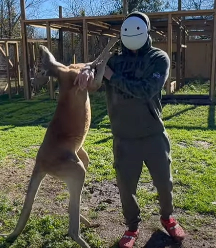 Dream | The Urban Rescue Ranch Wiki | Fandom