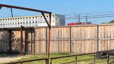 Discuss Everything About The Urban Rescue Ranch Wiki | Fandom