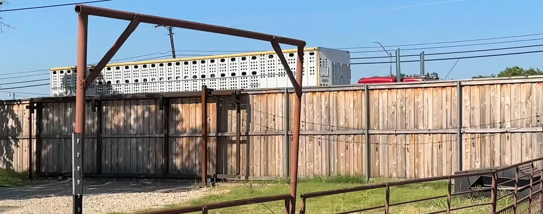 Discuss Everything About The Urban Rescue Ranch Wiki | Fandom