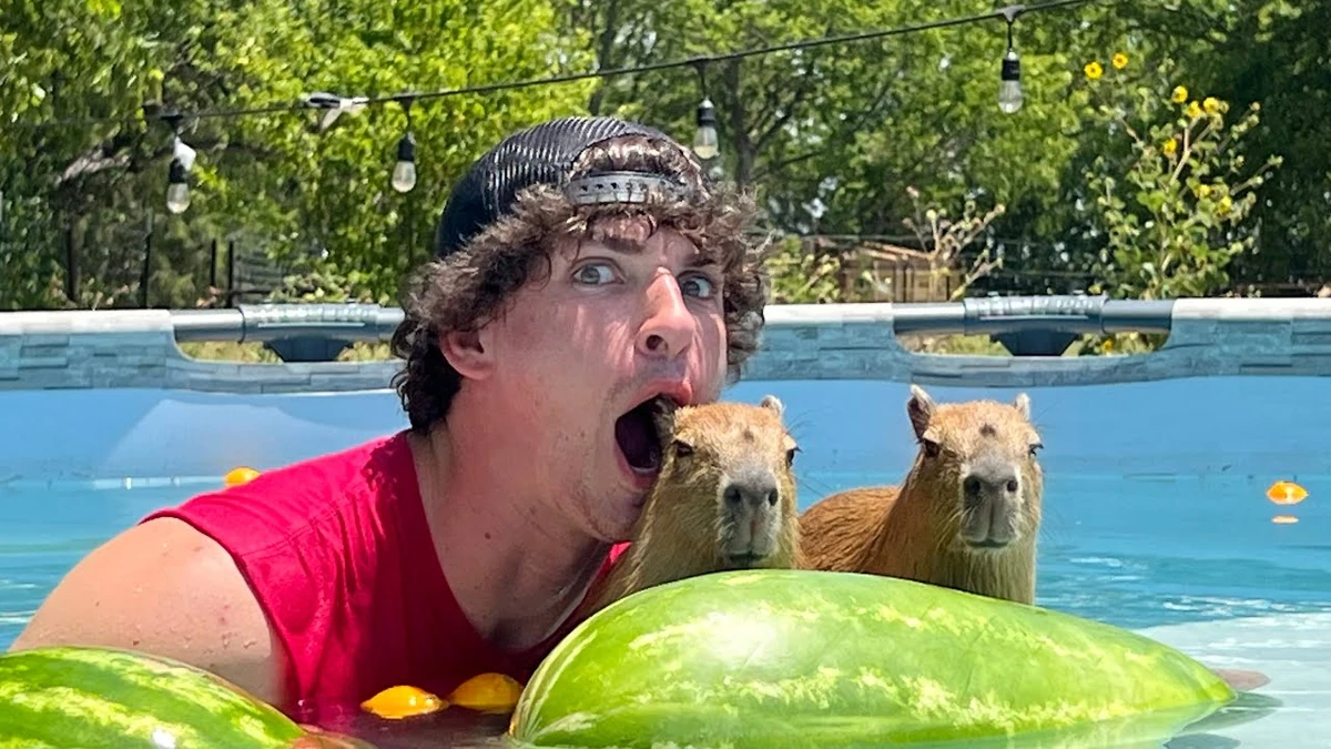 Capy Content Arc | The Urban Rescue Ranch Wiki | Fandom