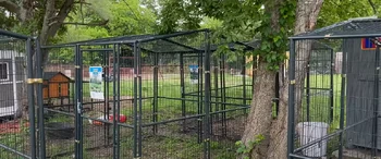 Animal Kennels | The Urban Rescue Ranch Wiki | Fandom