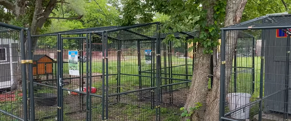 Animal Kennels | The Urban Rescue Ranch Wiki | Fandom