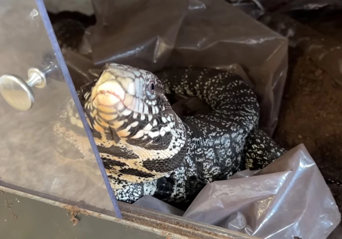 Mark Zuckerberg | The Urban Rescue Ranch Wiki | Fandom