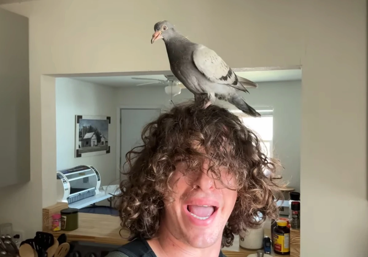 Gerbringlebones | The Urban Rescue Ranch Wiki | Fandom