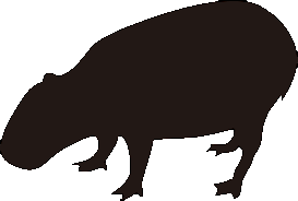 The Urban Rescue Ranch Wiki | Fandom