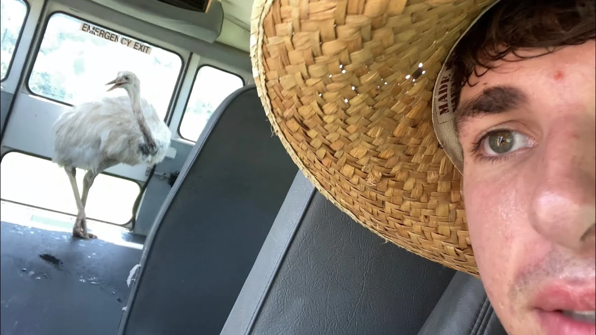 Kyle | The Urban Rescue Ranch Wiki | Fandom