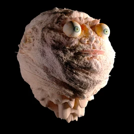 Bin Man | The Utility Room Wiki | Fandom