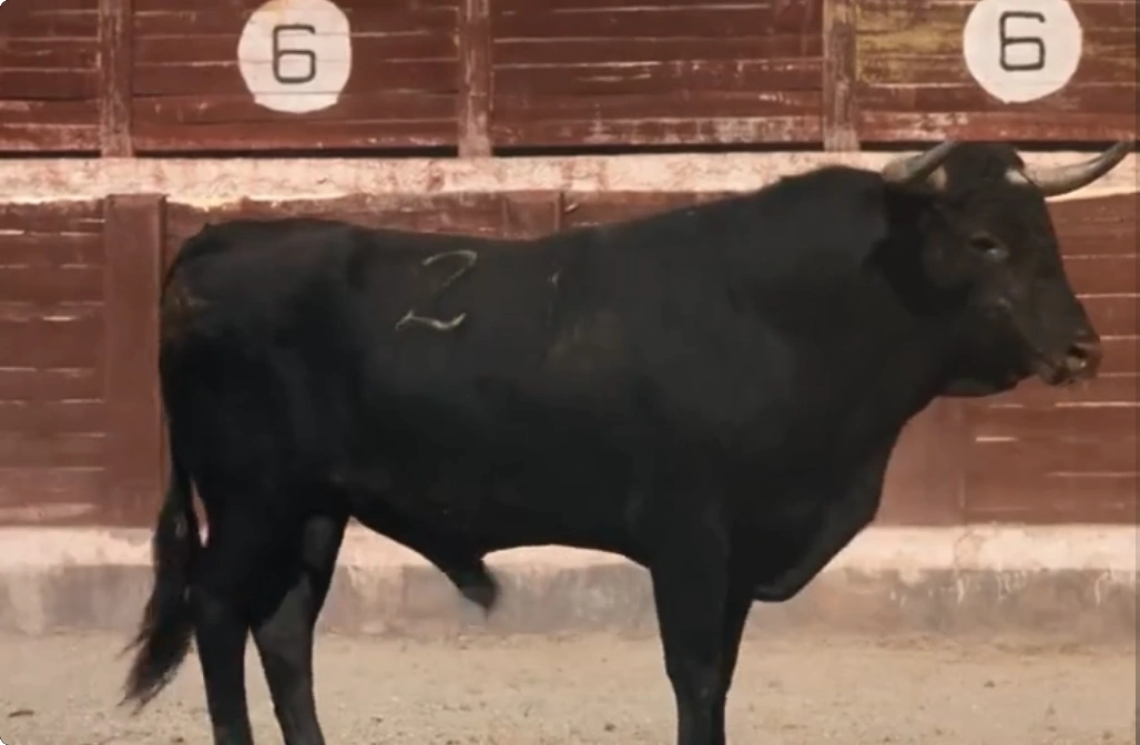 Cow | The Valley of Gwangi Wiki | Fandom