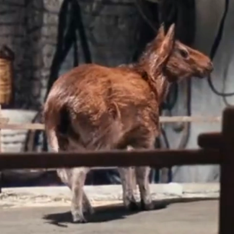 El Diablo | The Valley of Gwangi Wiki | Fandom