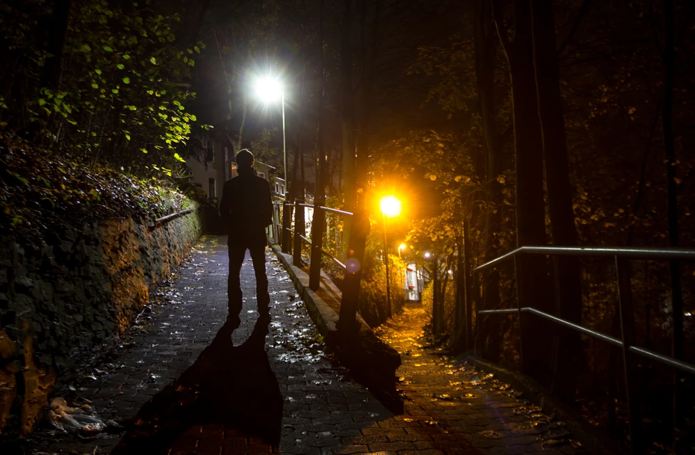 Real Vampires Exist, and Researchers Are Studying Them | The Vampire ...