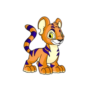 Kougra | The Video Game Show Wiki | Fandom