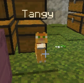 Tangy | The VillageTM Wiki | Fandom