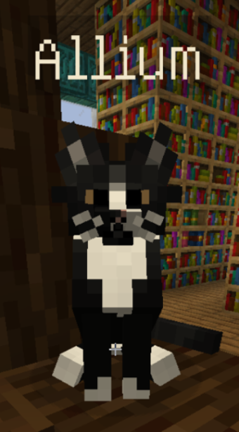 Allium | The VillageTM Wiki | Fandom