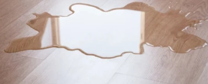 Category:Creatures | The Voidclusters Wiki | Fandom