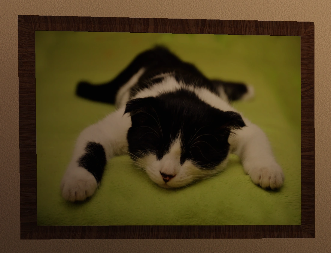 Paintings | The Waiting Room (Roblox) Wiki | Fandom