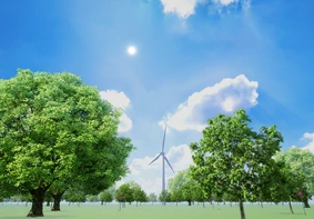 Forest Dimension | The Waiting Room (Roblox) Wiki | Fandom