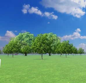 Forest Dimension | The Waiting Room (Roblox) Wiki | Fandom