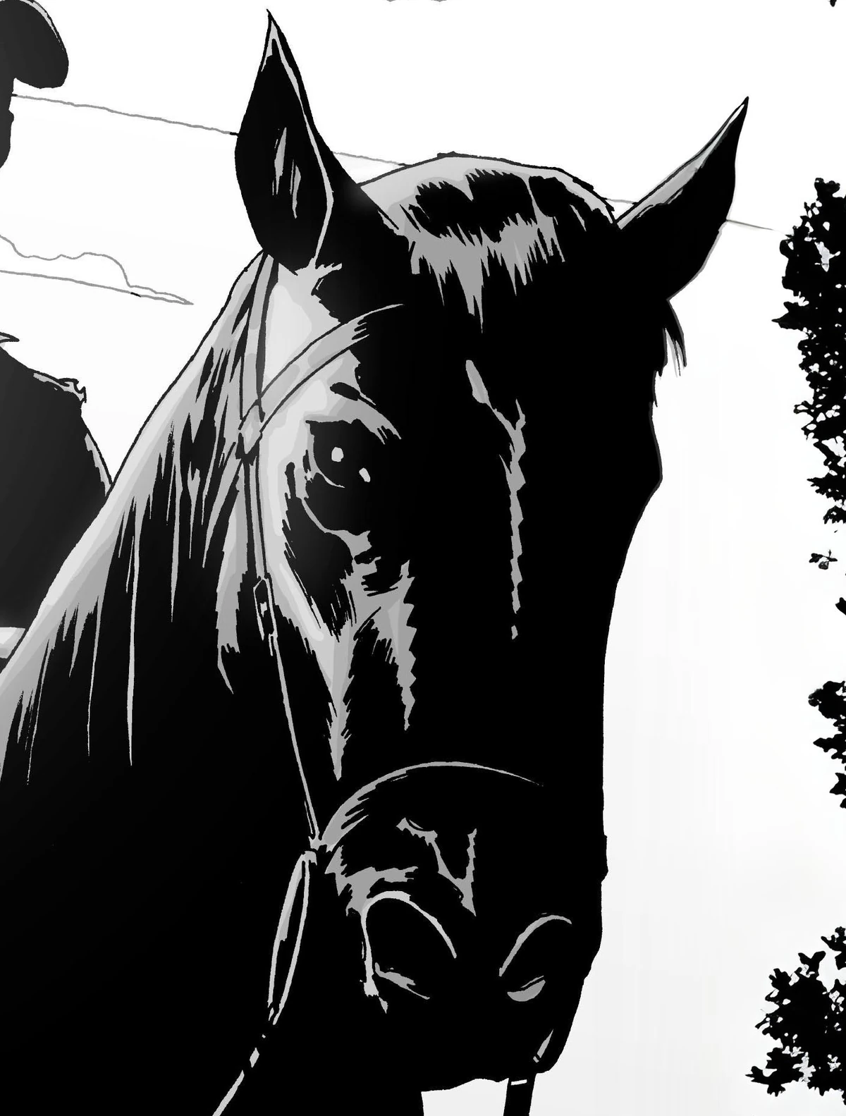Buttons (TWDF Series) | The Walking Dead Fanfictions Wiki | Fandom