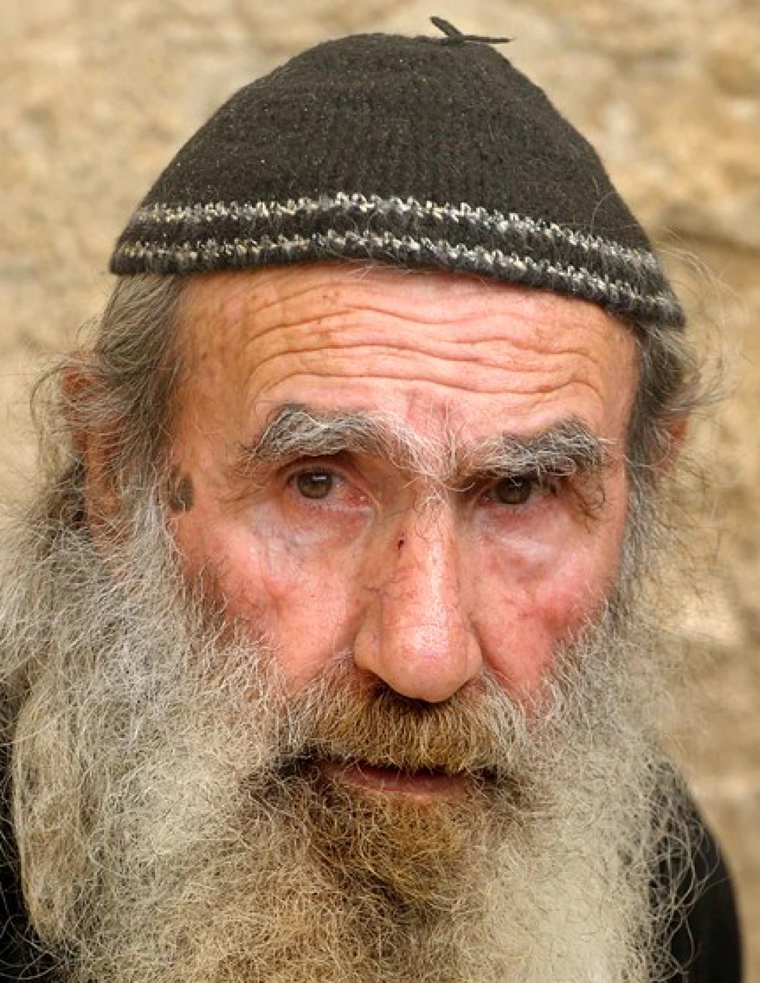 Aviel (Gilad Special) | The Walking Dead: New Blood Wiki | Fandom