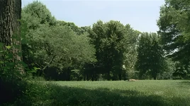 King County, Georgia | The Walking Dead: New Blood Wiki | Fandom