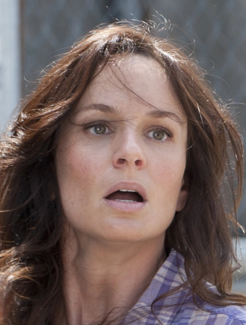 Lori Grimes | The Walking Dead: New Blood Wiki | Fandom