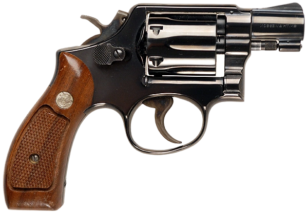 Smith & Wesson Model 10 | The Walking Dead: New Blood Wiki | Fandom