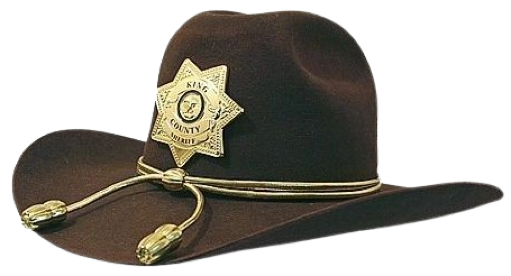 Rick's Hat | The Walking Dead: New Blood Wiki | Fandom