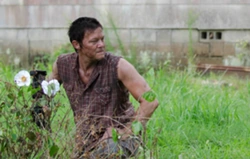 Cherokee Rose (TV Show) | The Walking Dead Wiki | Fandom