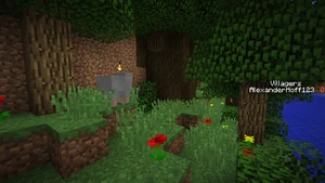 Peaceful Forest | The Wall Minecraft Wikia | Fandom