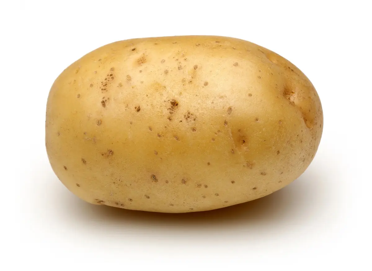 Jeremy Potato | The Walten Files Fanon Wiki | Fandom