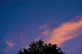 Lucella Parker | The Walten Files Fanon Wiki | Fandom