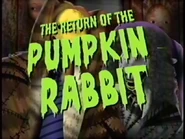 The Return of The Pumpkin Rabbit - OFFICIAL VHS SALE (Retro Release Video)/Gallery | The New ...