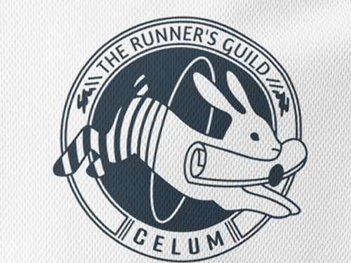 Runner's Guild | The Wandering Inn Wiki | Fandom