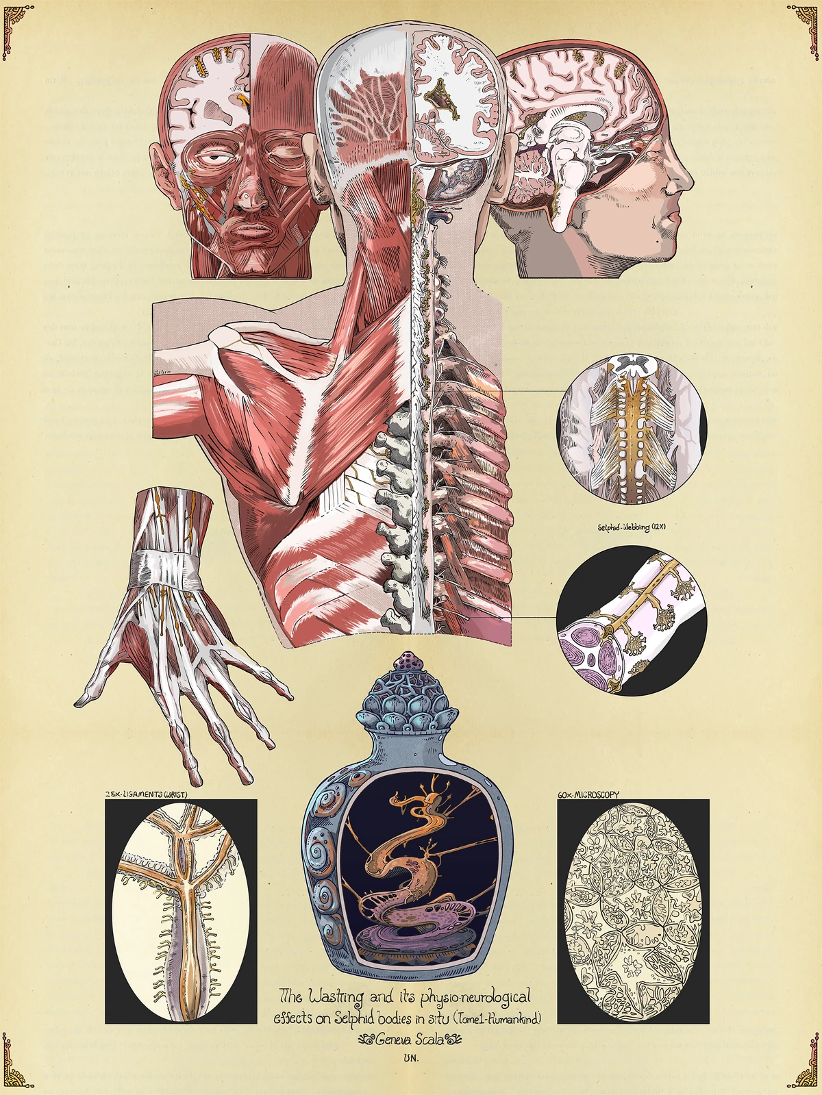 Category:Selphids | The Wandering Inn Wiki | Fandom
