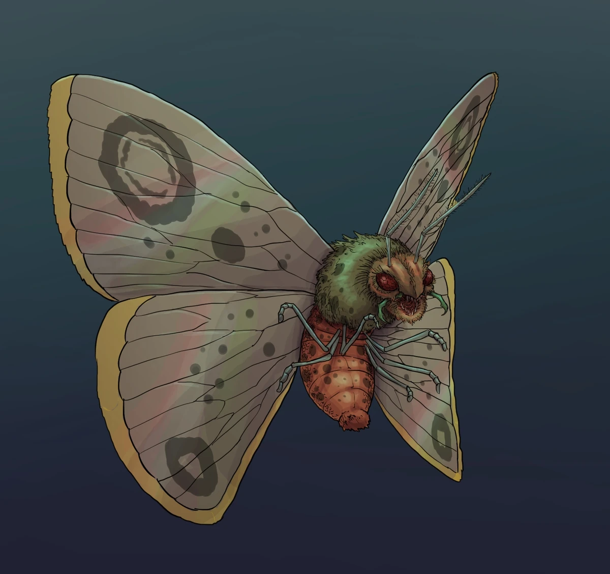 Moth Face